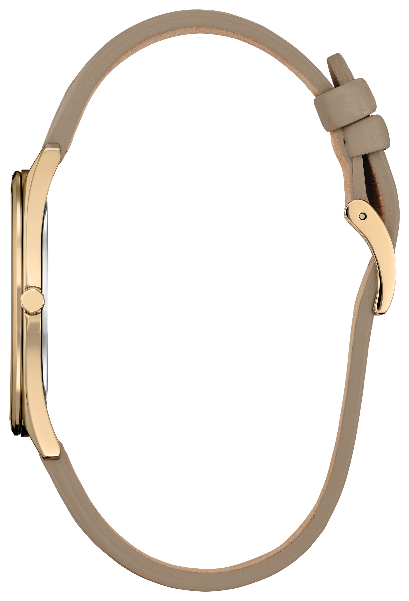 Reloj Citizen Rosa Suratto para Unisex AR3123-00X | Citizen de Mexico