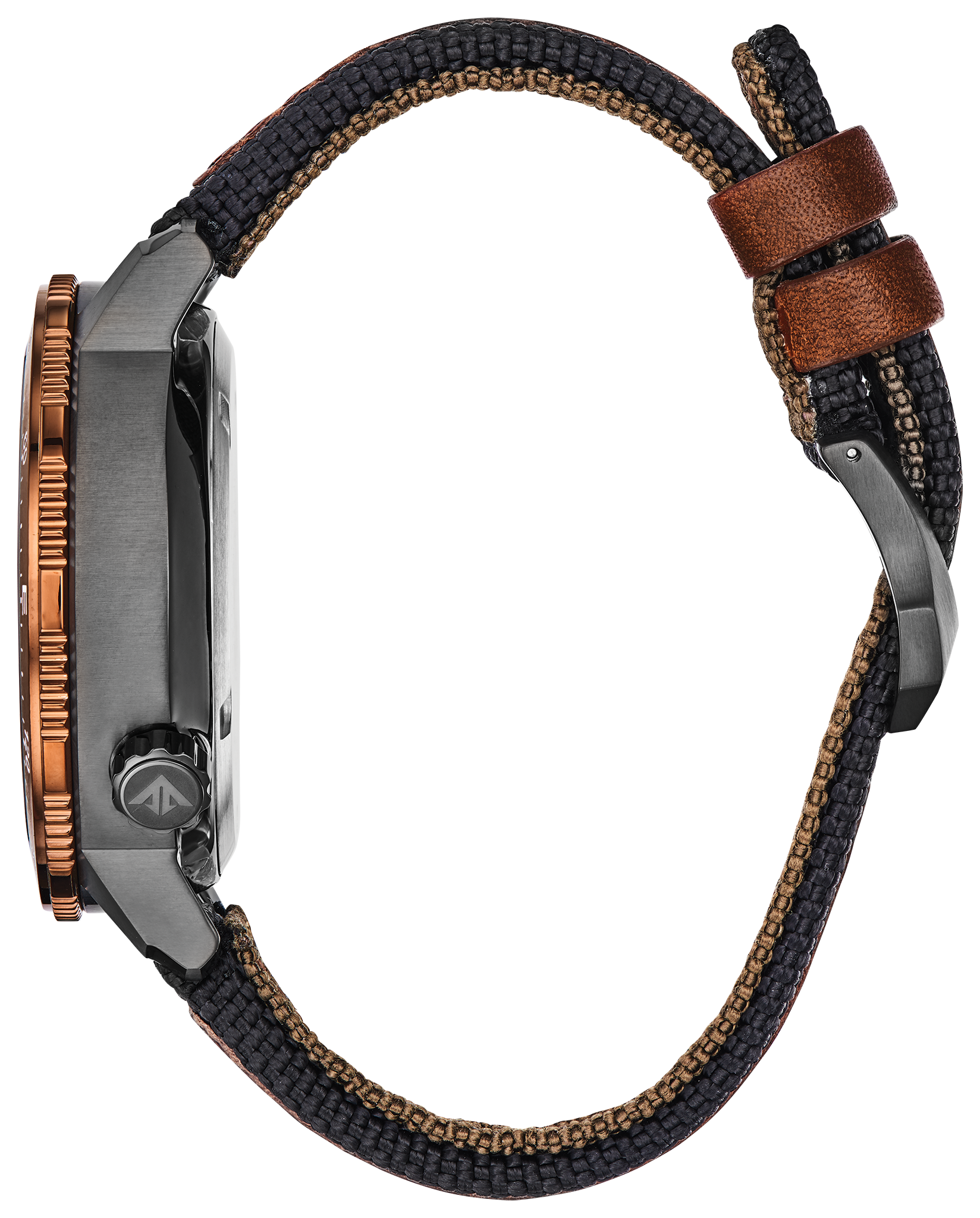 Citizen Promaster Altichron Eco-Drive Stainless Steel Watch | CITIZEN