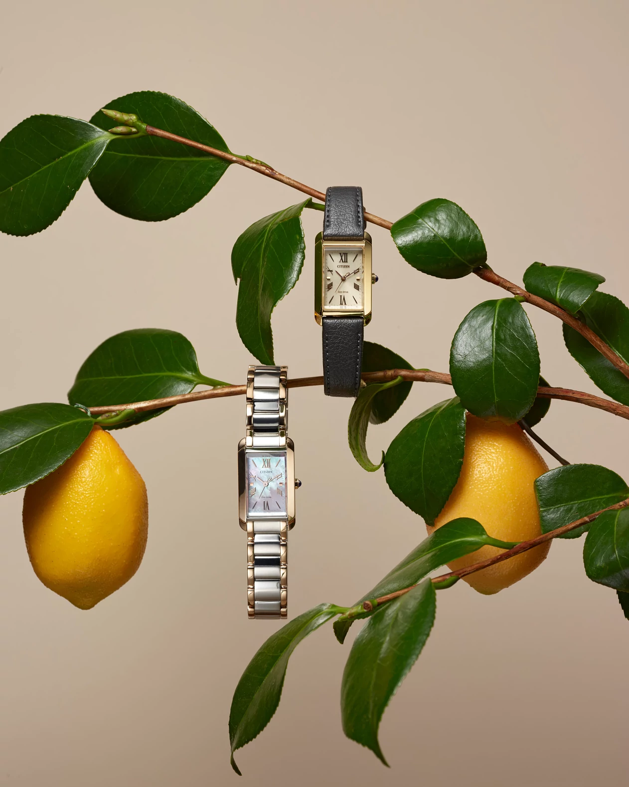 Women's Bianca Watches | CITIZEN