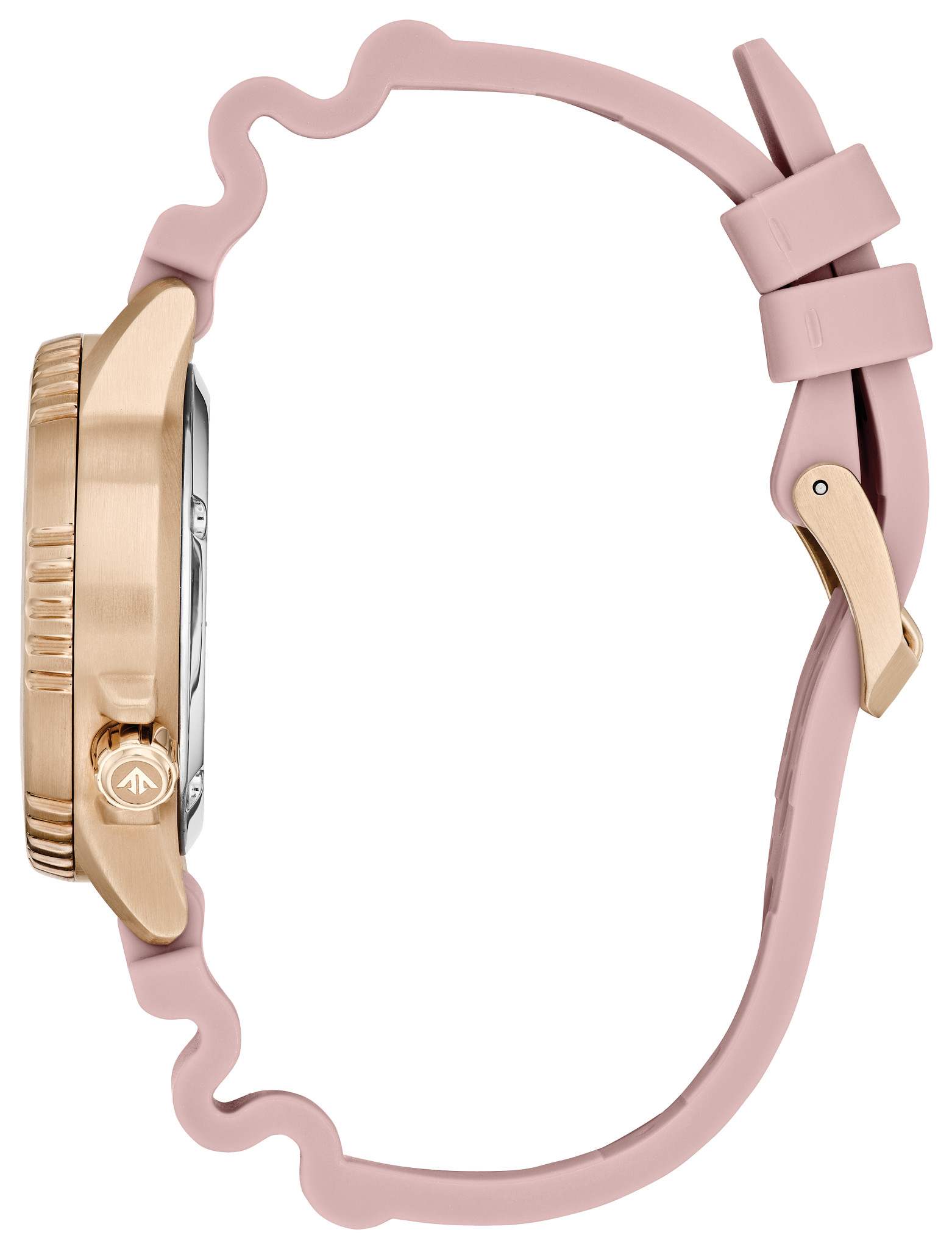 Women's Promaster Watches | CITIZEN