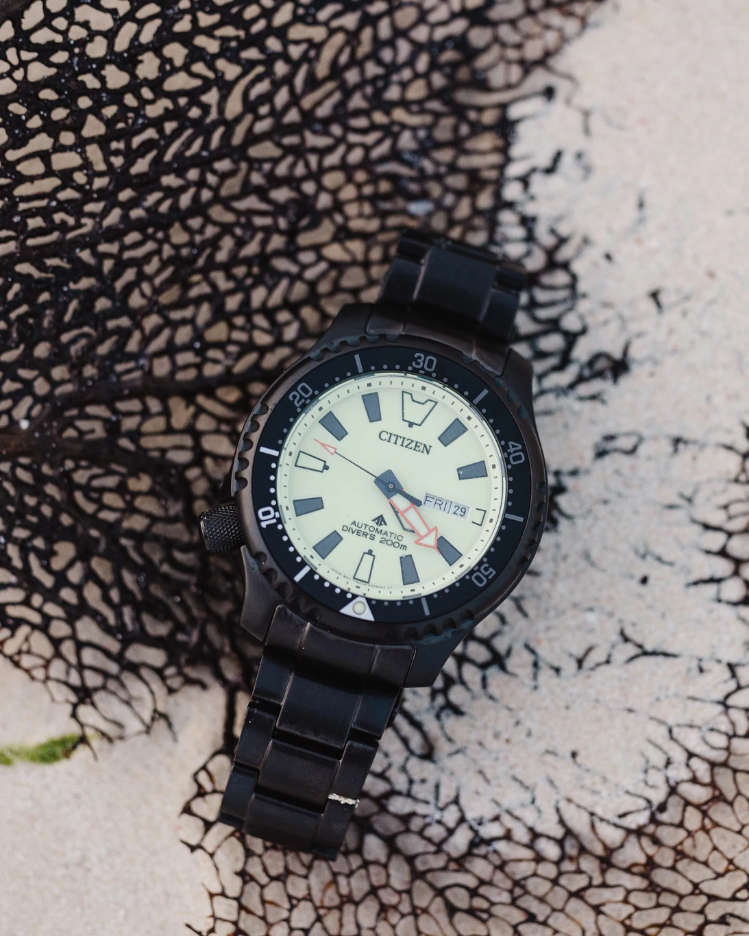 Promaster Dive Automatic Watches | CITIZEN